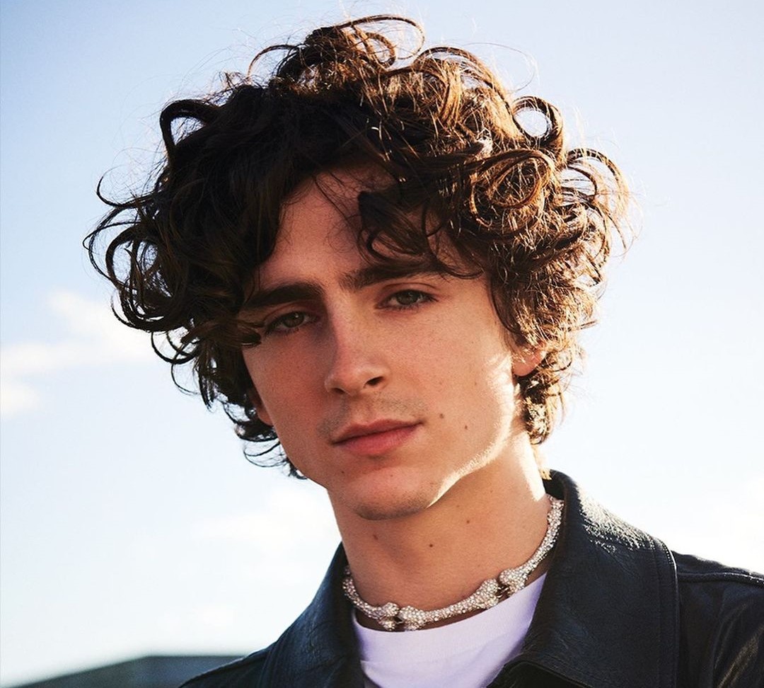 Call Me By Your Chain: Το στιλ του Timothée Chalamet γίνεται η έμπνευση ...