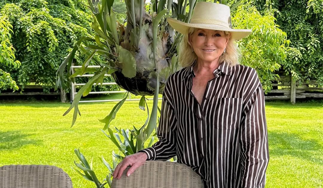 Το πουκάμισο που δεν αποχωρίζεται η Martha Stewart - Να πώς θα το ...