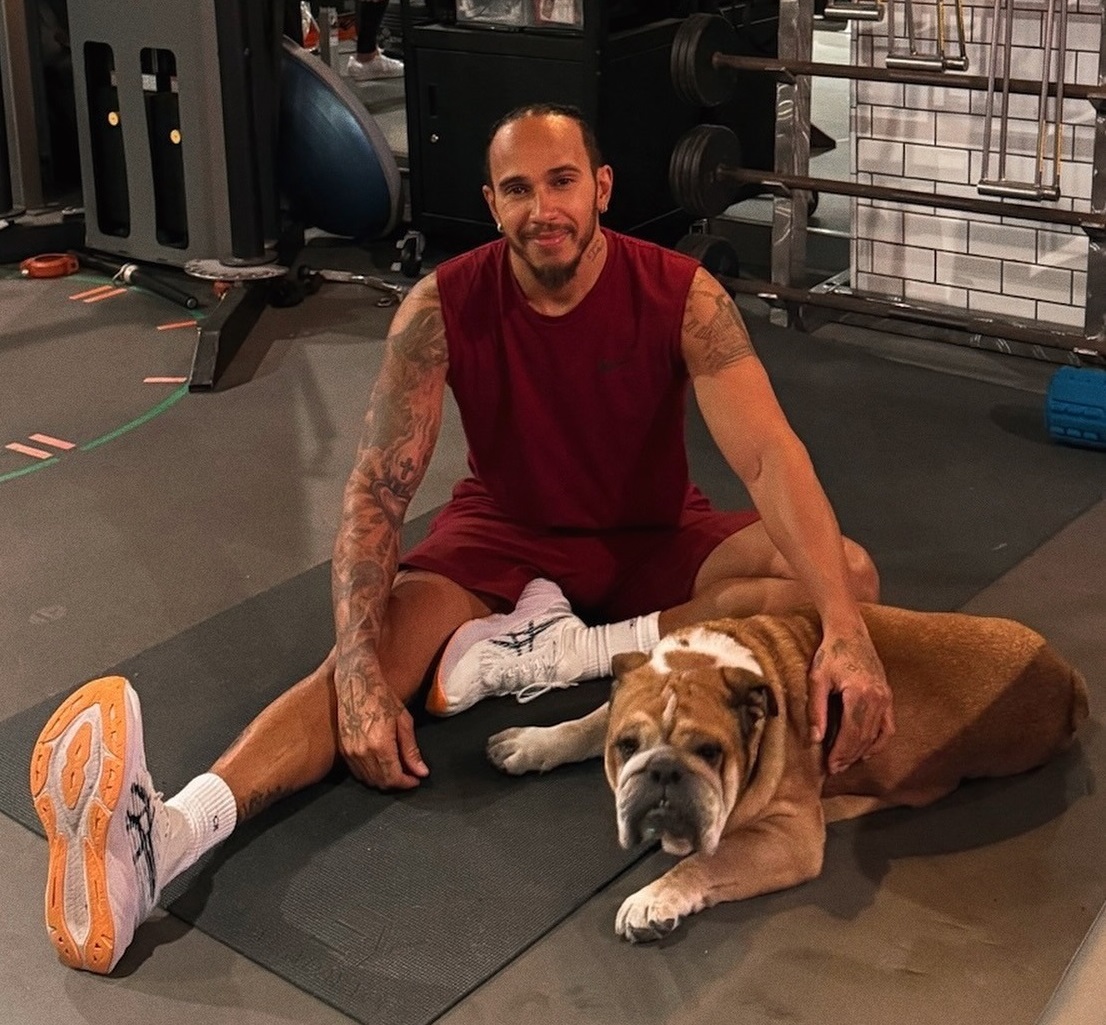 Δύσκολες ώρες για τον Lewis Hamilton - Σε κώμα o σκύλος του