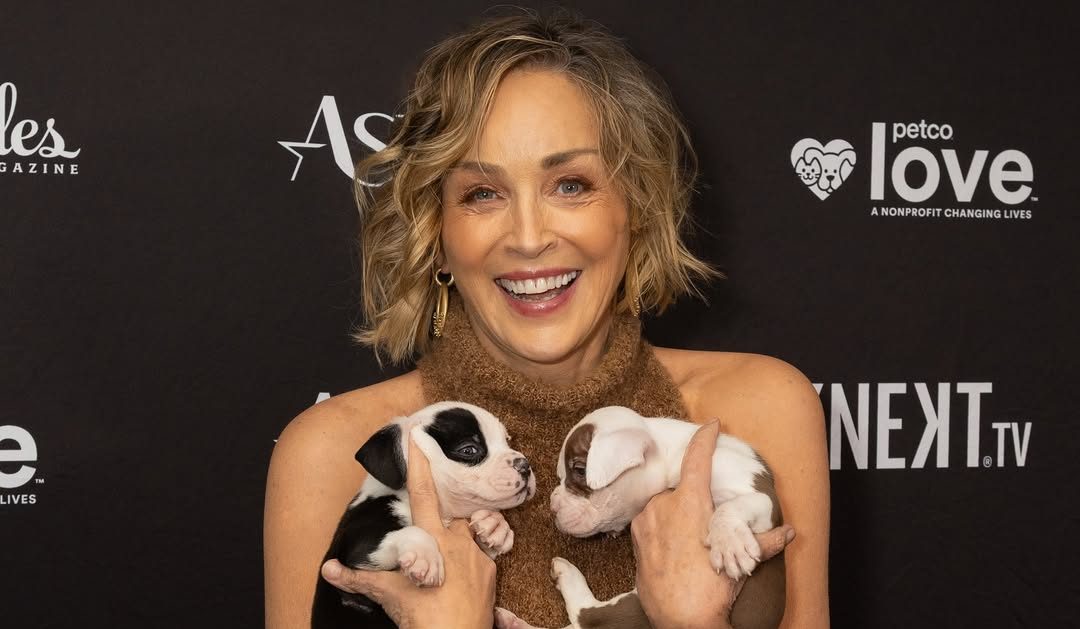 Το ανατρεπτικό look της Sharon Stone αναβιώνει το «Βασικό Ένστικτο ...