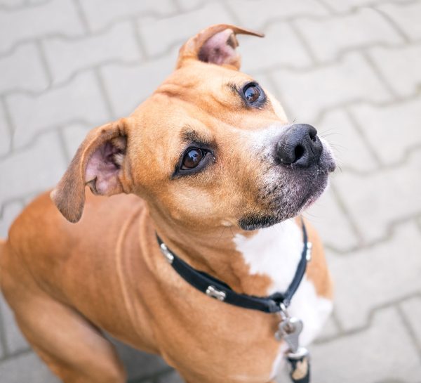 Whitney Houston: Νέο τραγούδι 11 χρόνια μετά τον θάνατό της - InStyle